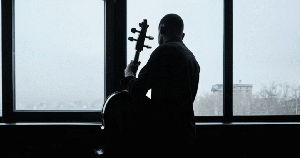 Steve Hoffman Music Forums: A Deep Dive into Community, Culture, and Sound - simplicityitself